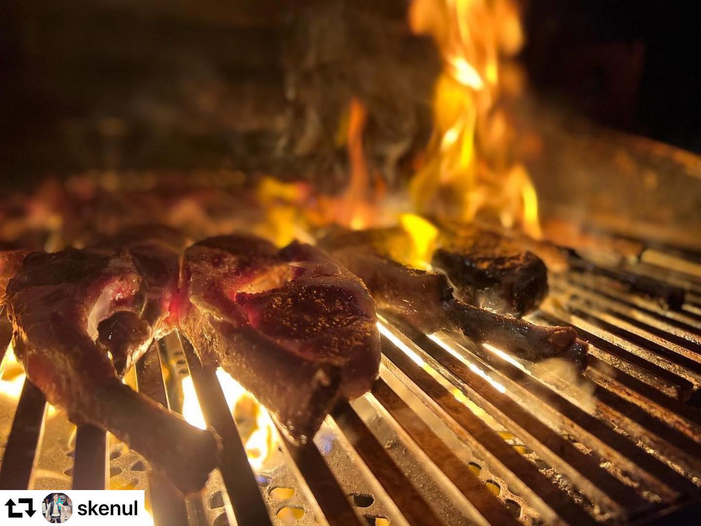 Aurora Grills - Fire Magic Grills